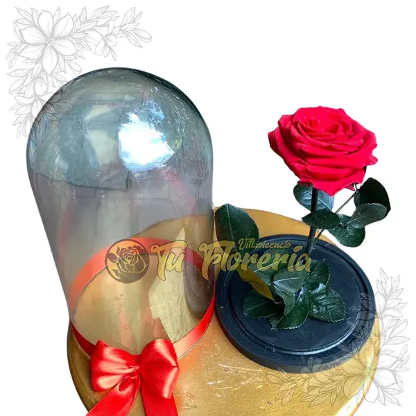 Cúpula Grande de Rosa Preservada C3 | Tu Florería | Floristería ...